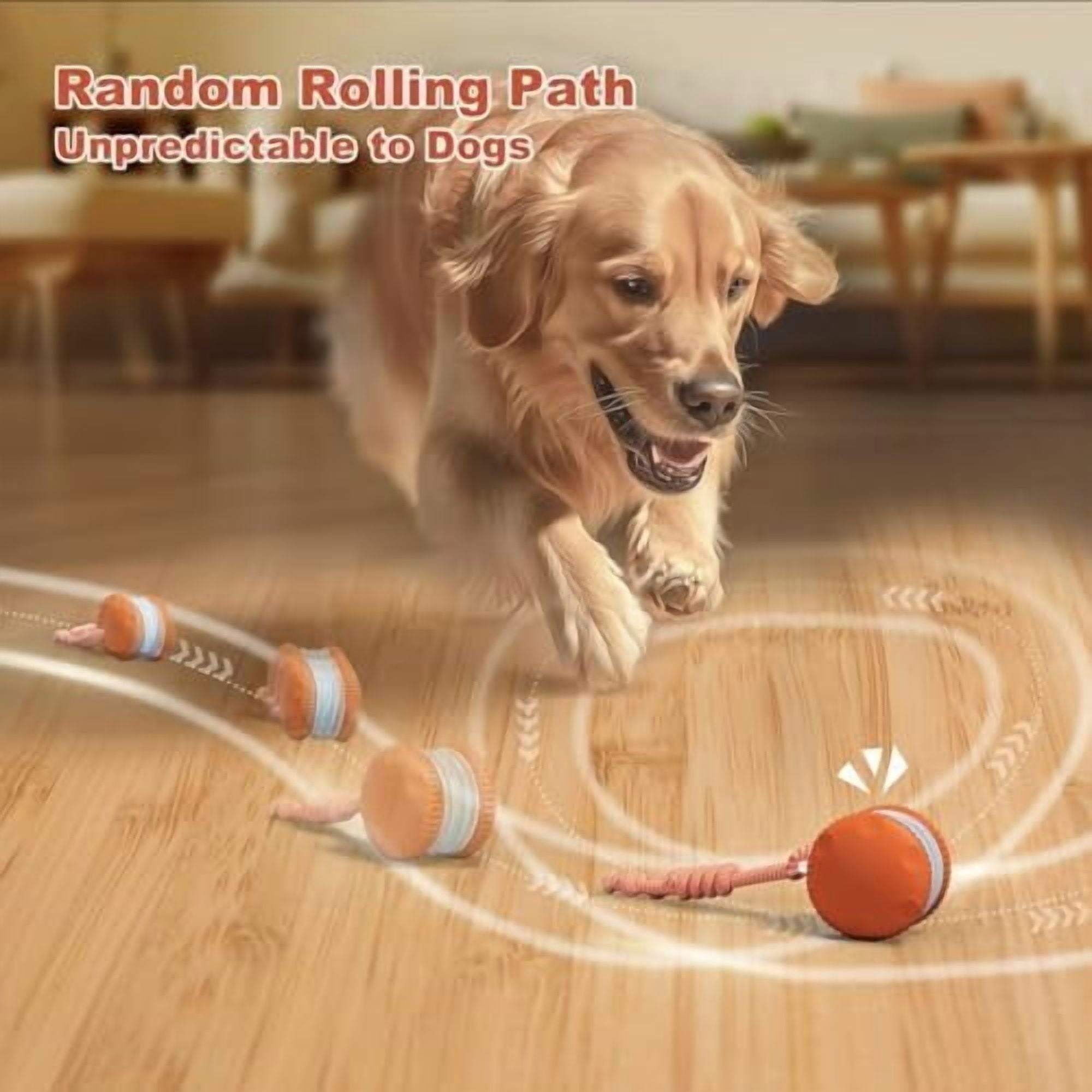 Interactive Dog Toys, Random Path Electric Automatic Moving and Rolling ...