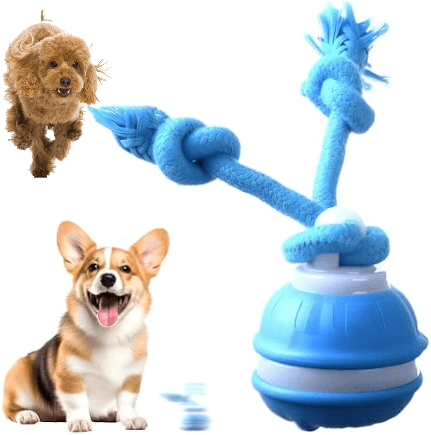 Interactive Dog Toys, Smart Touch-Activated Automatic Rolling Ball, USB ...