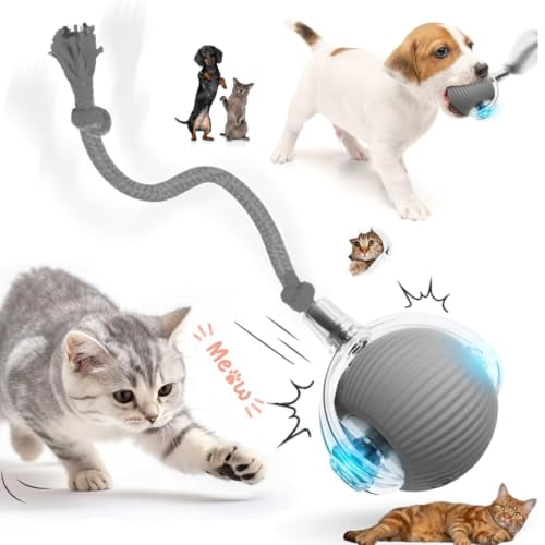 Interactive Electric Automatic Rolling Moving Rechargeable Self Play ...