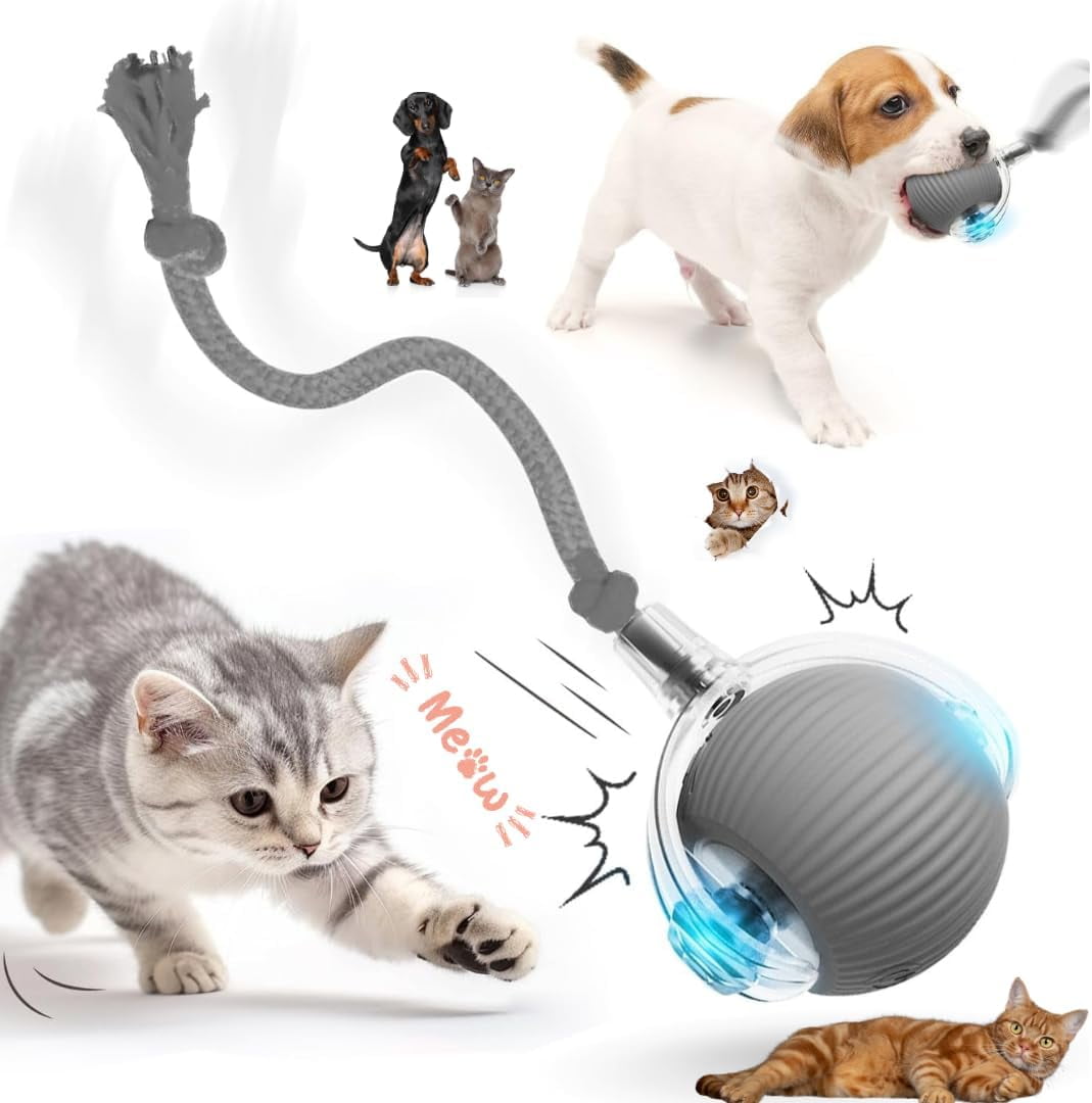 Interactive Electric Automatic Rolling Moving Rechargeable Self Play ...