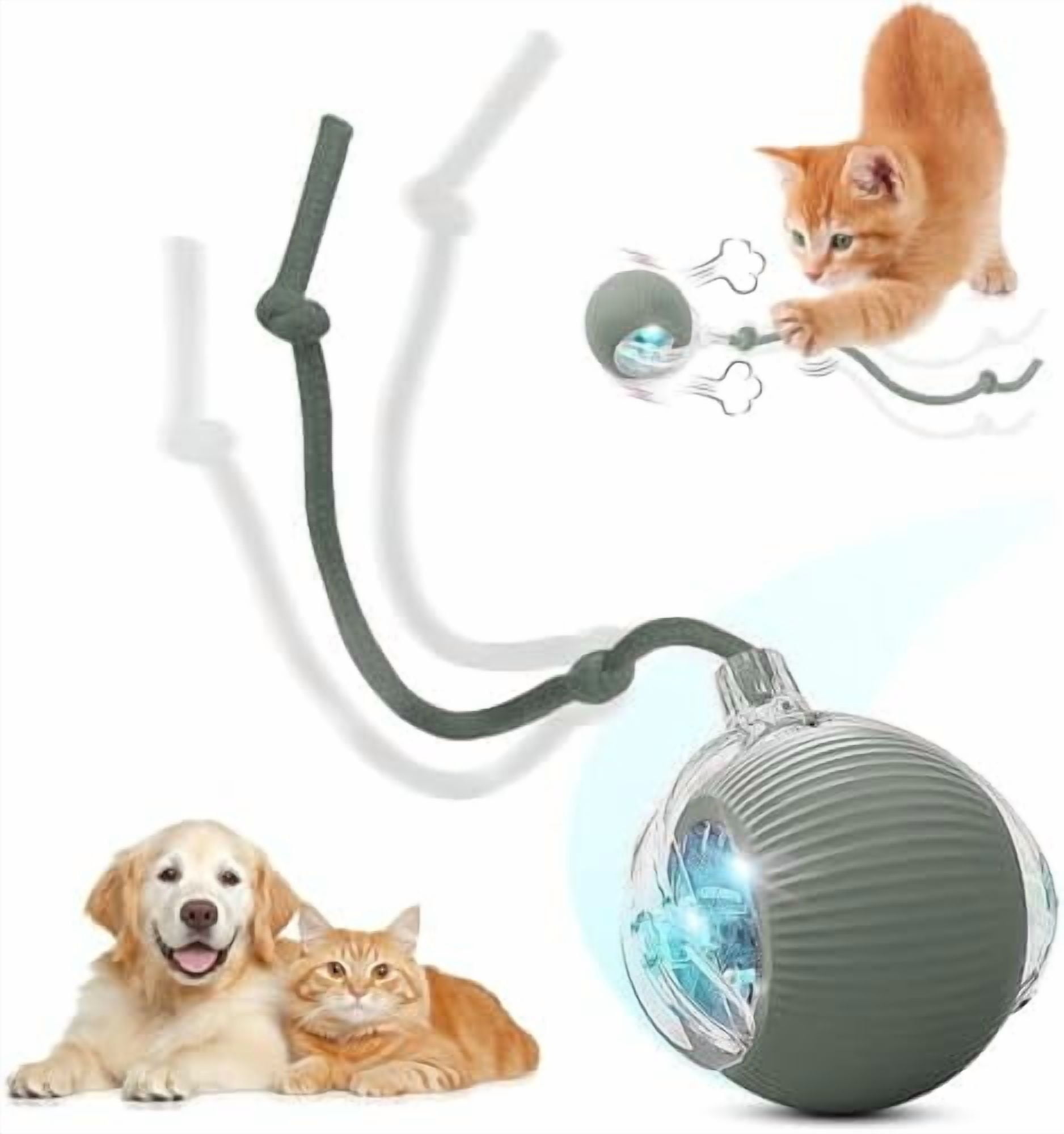 Interactive Electric Automatic Rolling Moving USB Rechargeable Self ...
