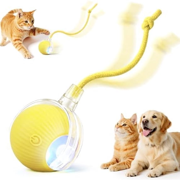 Interactive Electric Automatic Rolling Moving USB Rechargeable Self ...