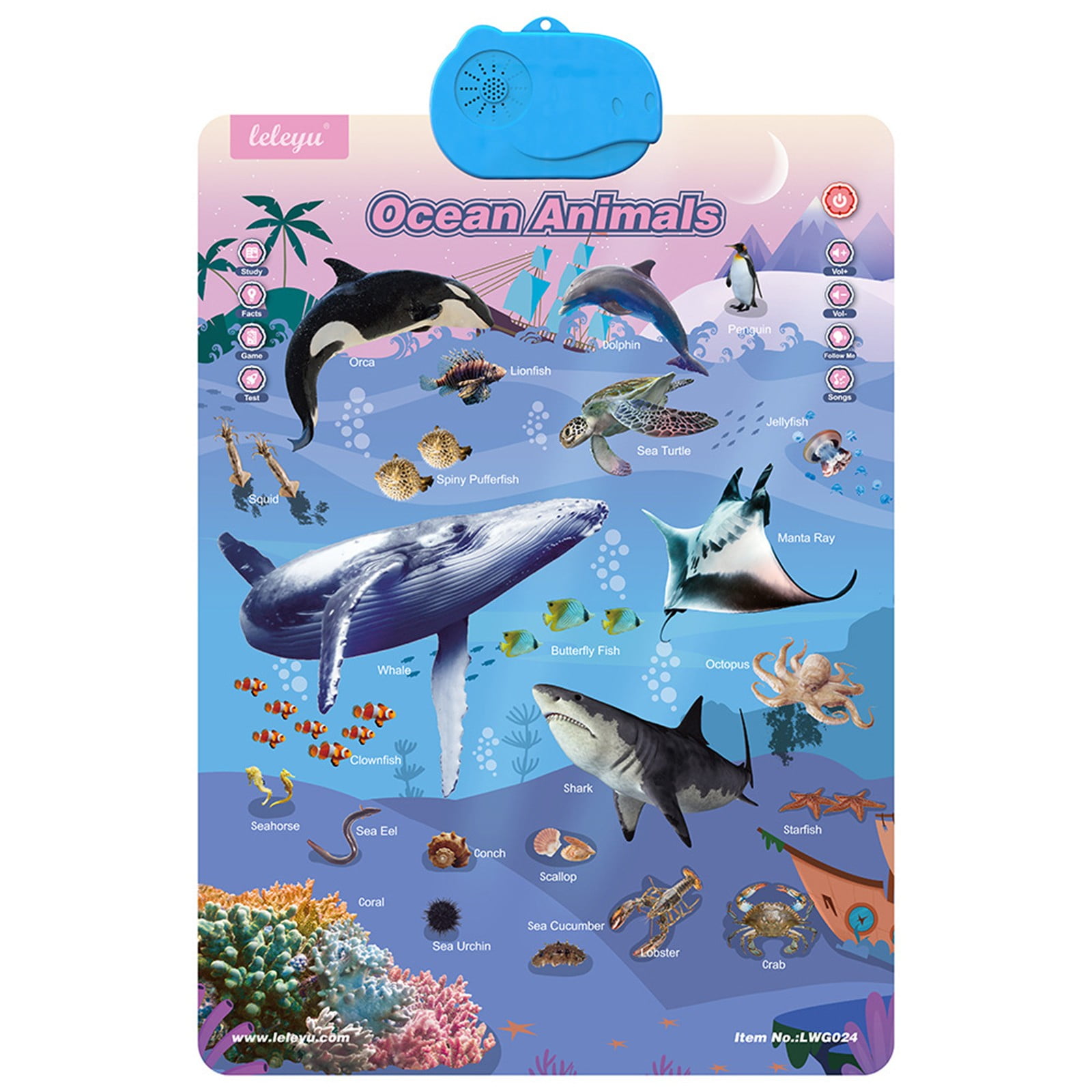 Interactive English Learning Talking Wall Chart for Kids, Educational ...