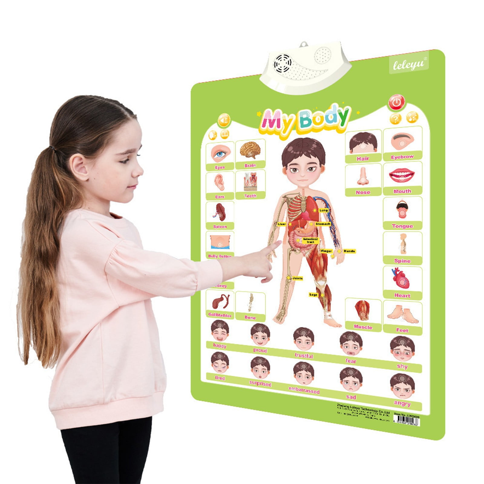 Interactive English Learning Talking Wall Chart Toy For Kids Requires 3 ...