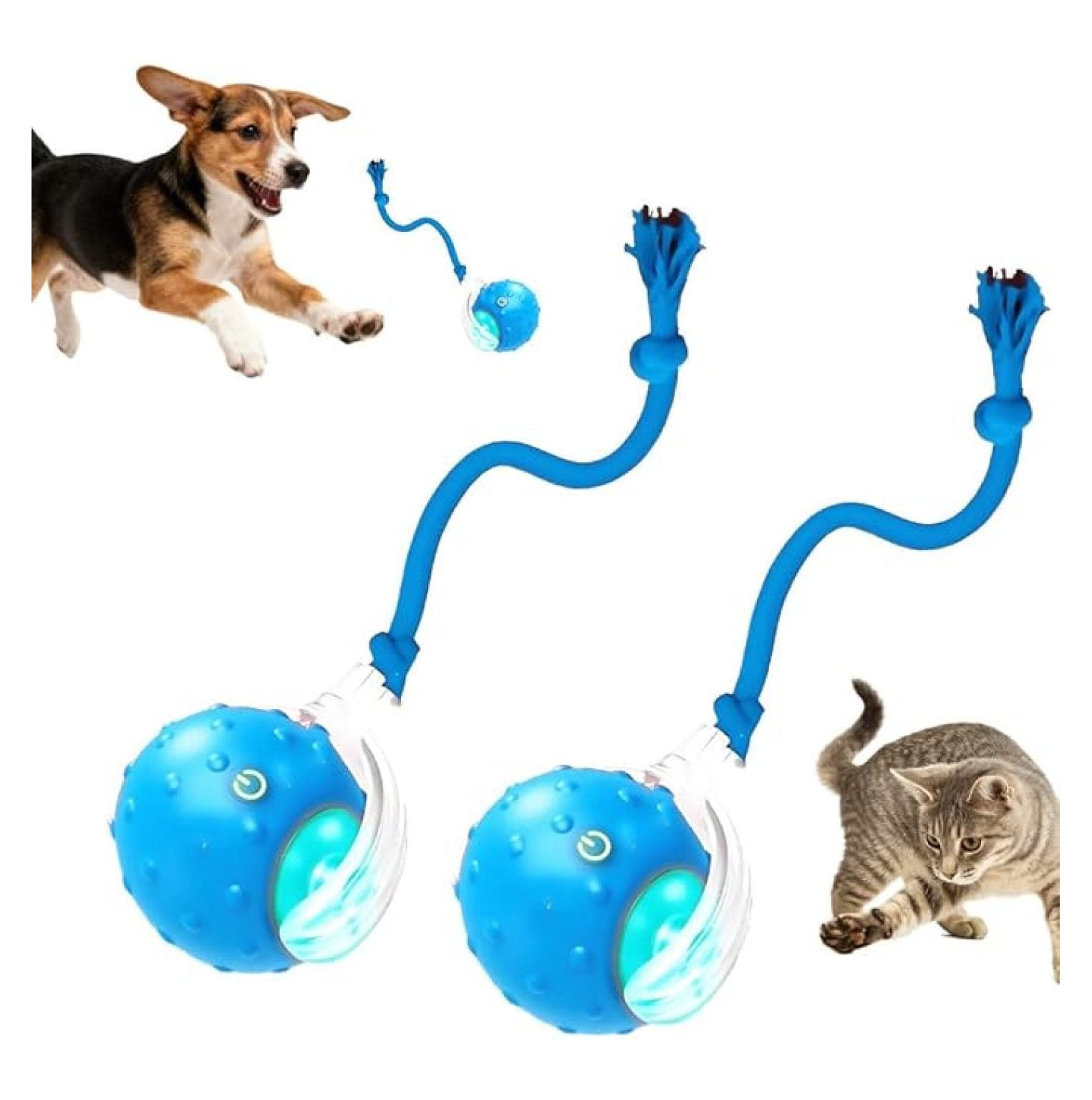 Interactive Fast Moving Toys Balls with Birdsong, 2026 New 360° Smart ...