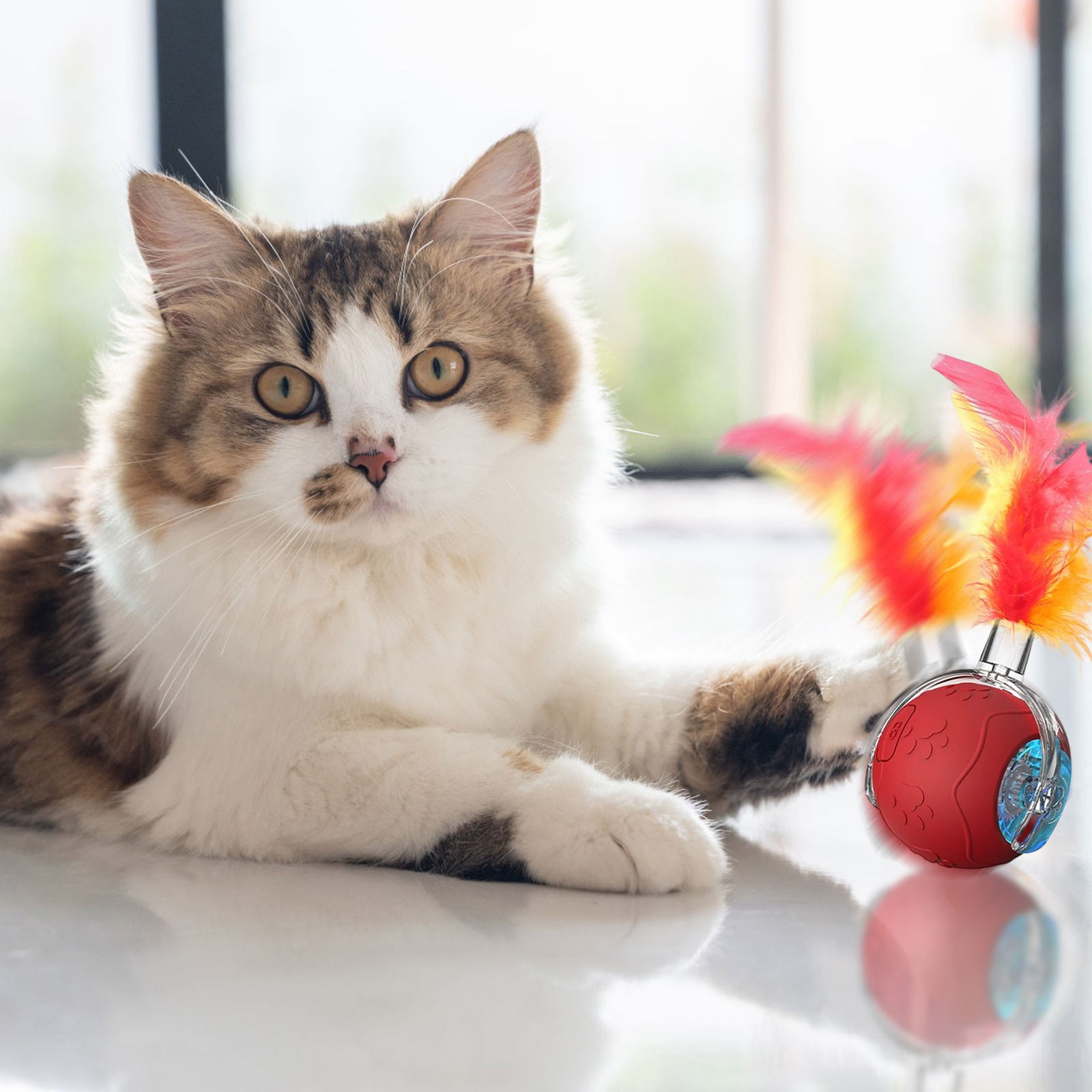 Interactive Feather Ball Toy for Cats, New Cat Bouncy Ball with Feather ...