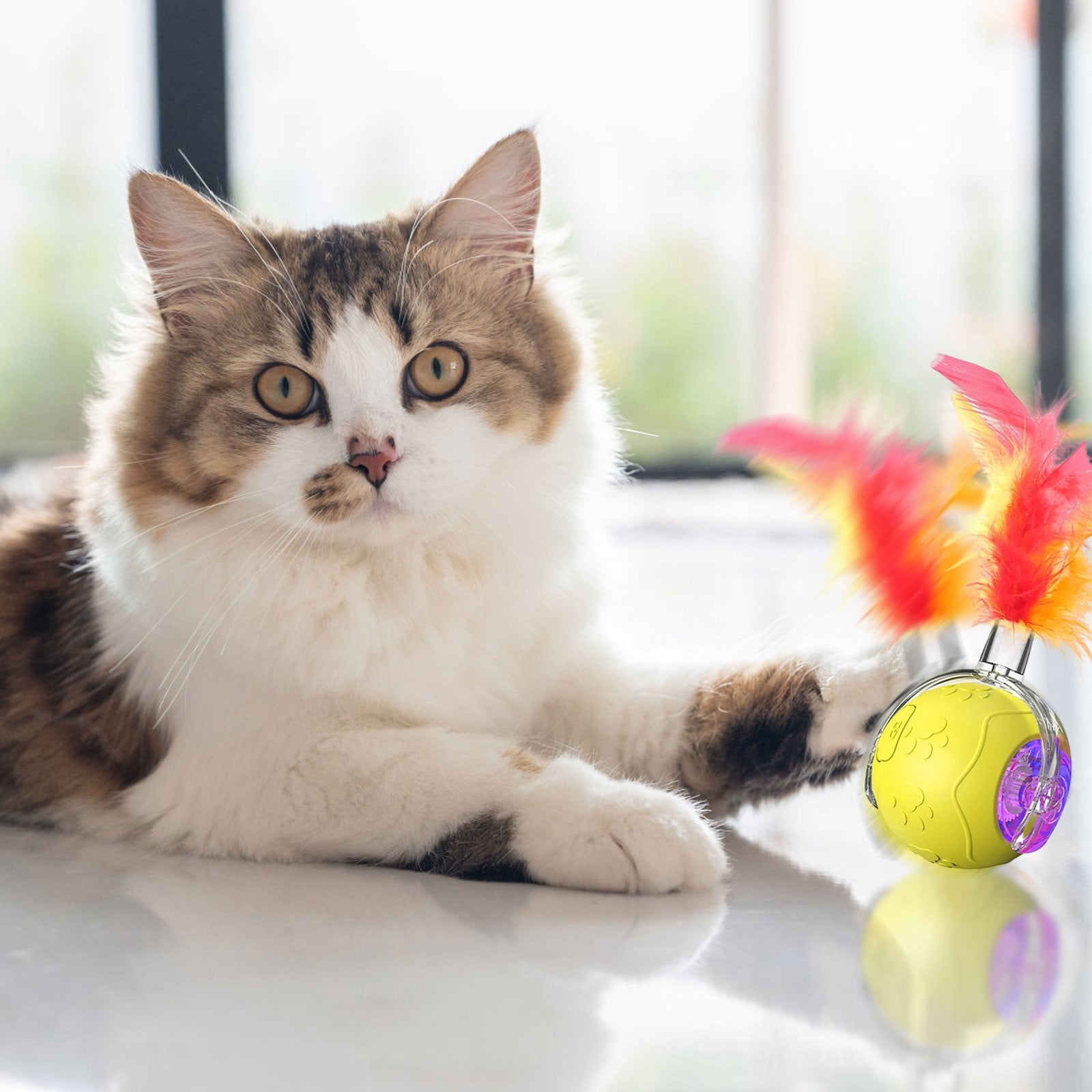 Interactive Feather Ball Toy for Cats, New Cat Bouncy Ball with Feather ...