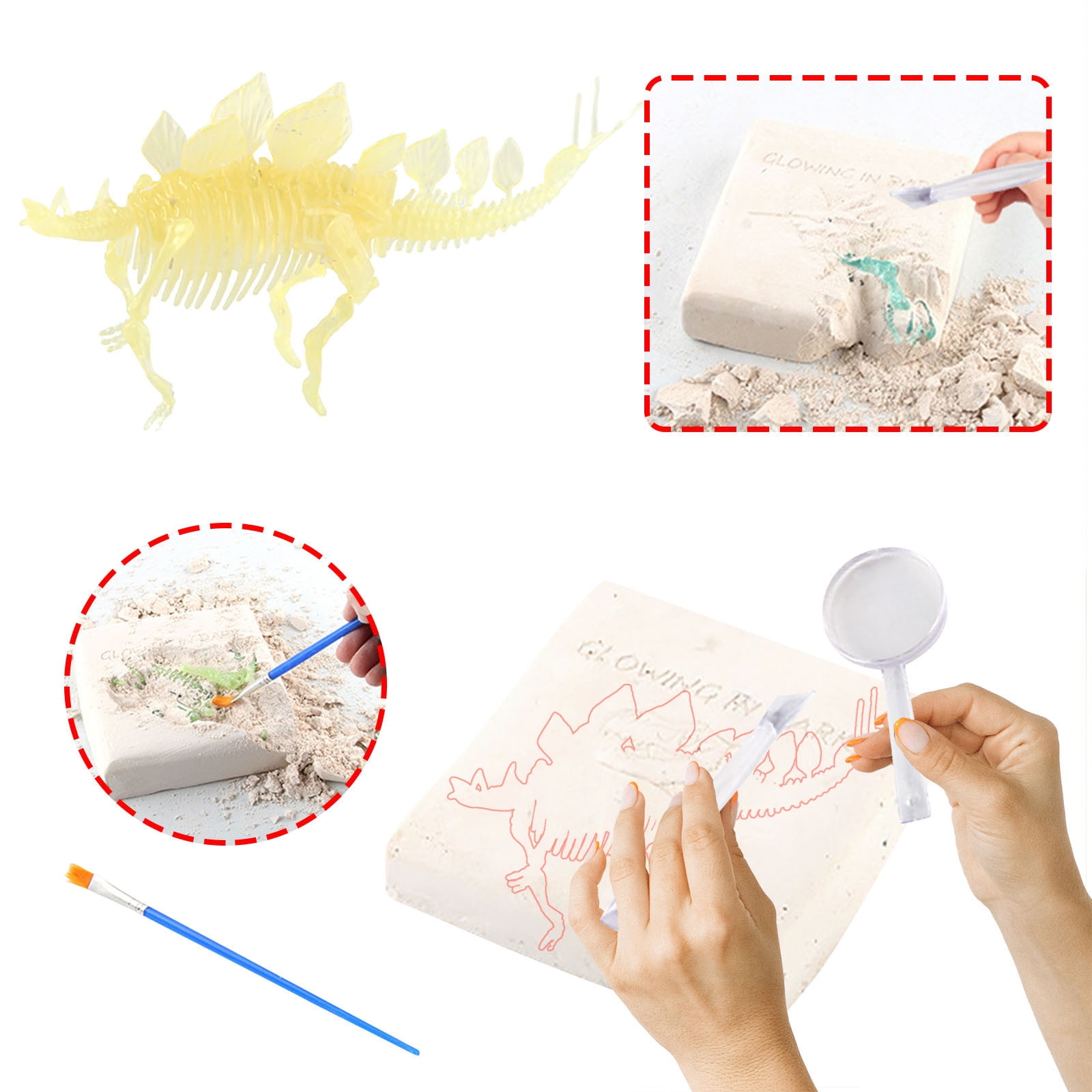 Interactive Fossil Archaeology Dig Kit Toy， Luminous Dinosaur Fossil ...
