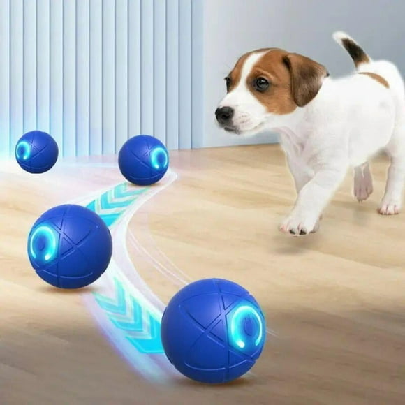 Battery Operated Dog Toys