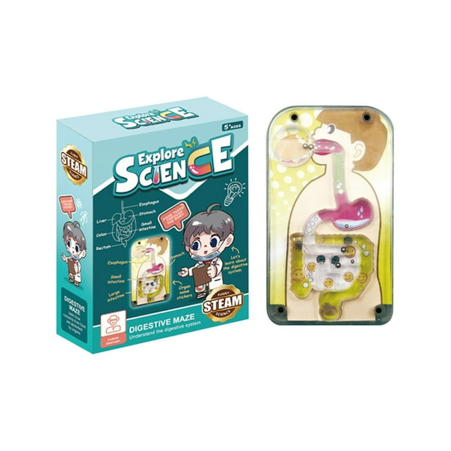 Interactive Human Digestive System Game for Children – Learn About ...