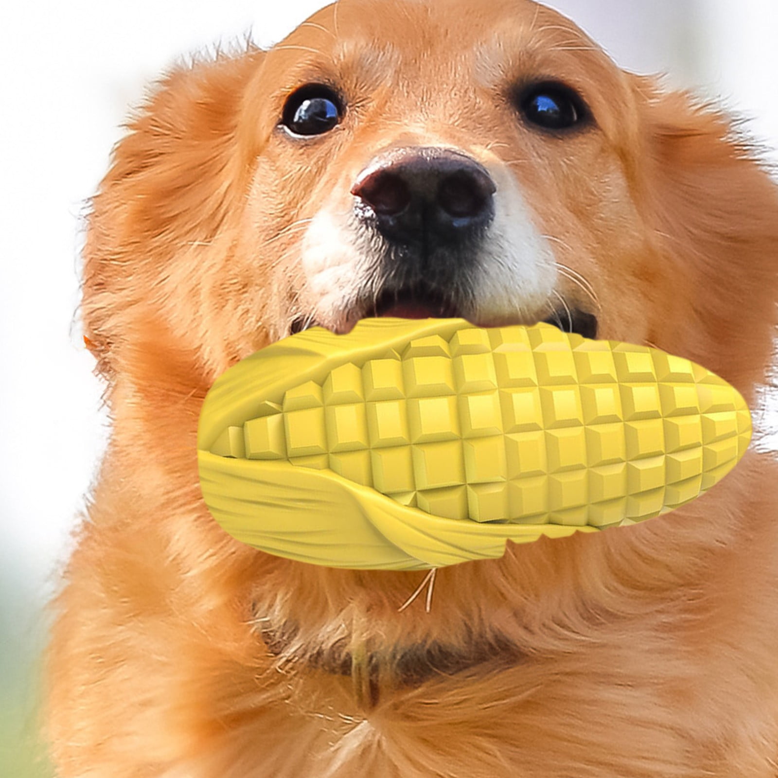 Interactive Pet Chew Toy, Corn Chew Toy For Your Dogs And Cats ...