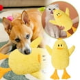 Interactive Pet Squeaky Toy For Dogs Puppies Chew Biting Play Training ...