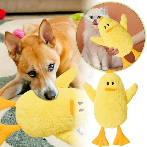 Interactive Pet Squeaky Toy For Dogs Puppies Chew Biting Play Training ...