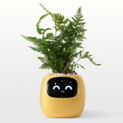 Lua Smart Planter