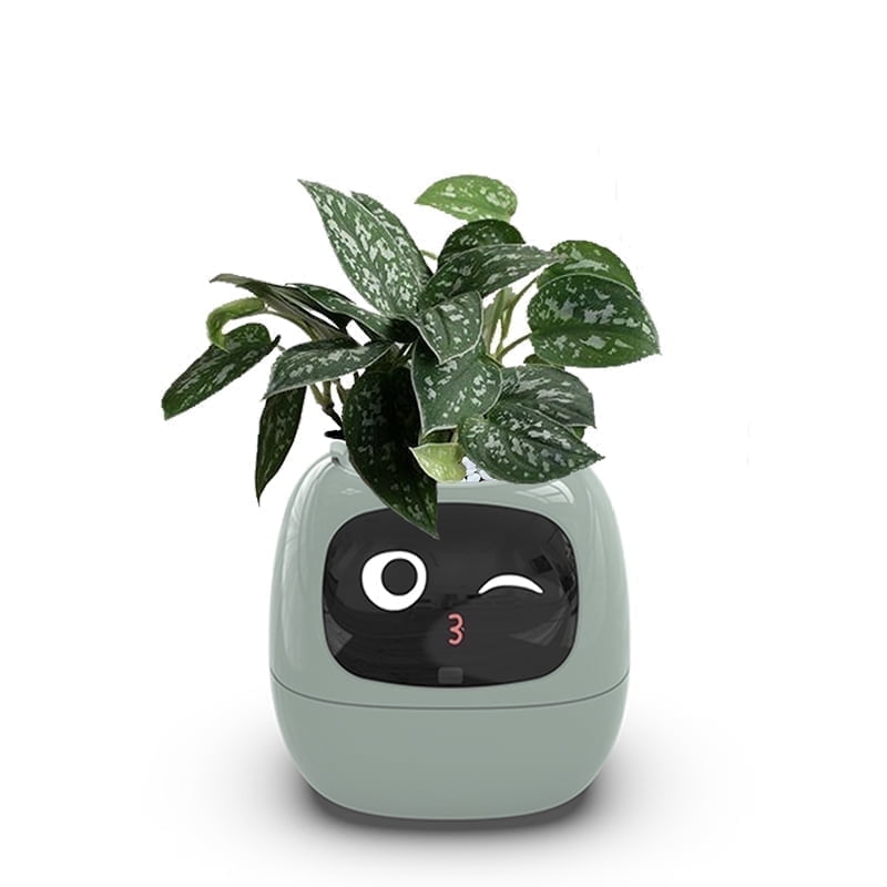 Interactive Plant Pot - maintenance plant assistant, Smart Planter with ...