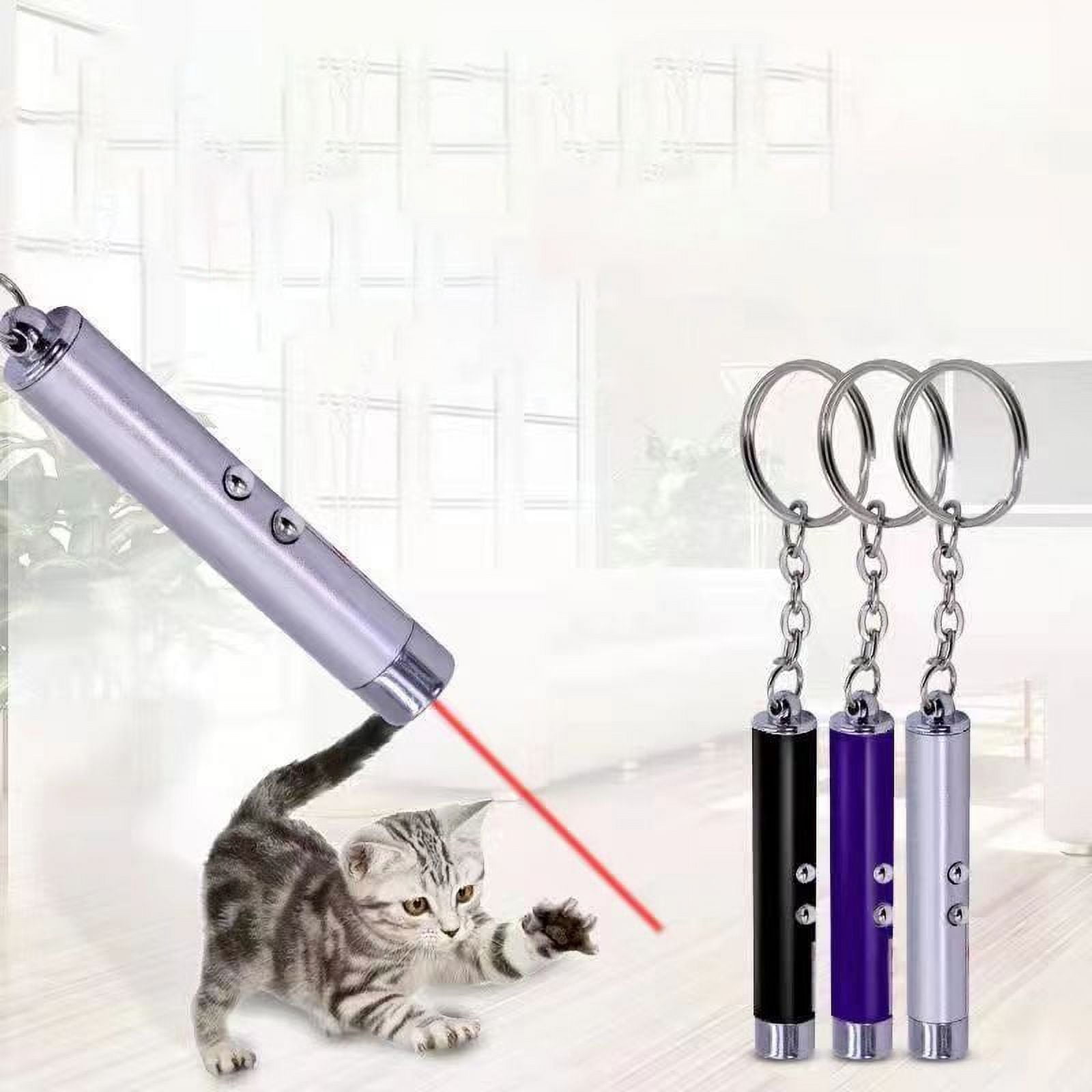 Interactive Red Light Pointer Toy - Keep Your Cat Entertained and Train ...