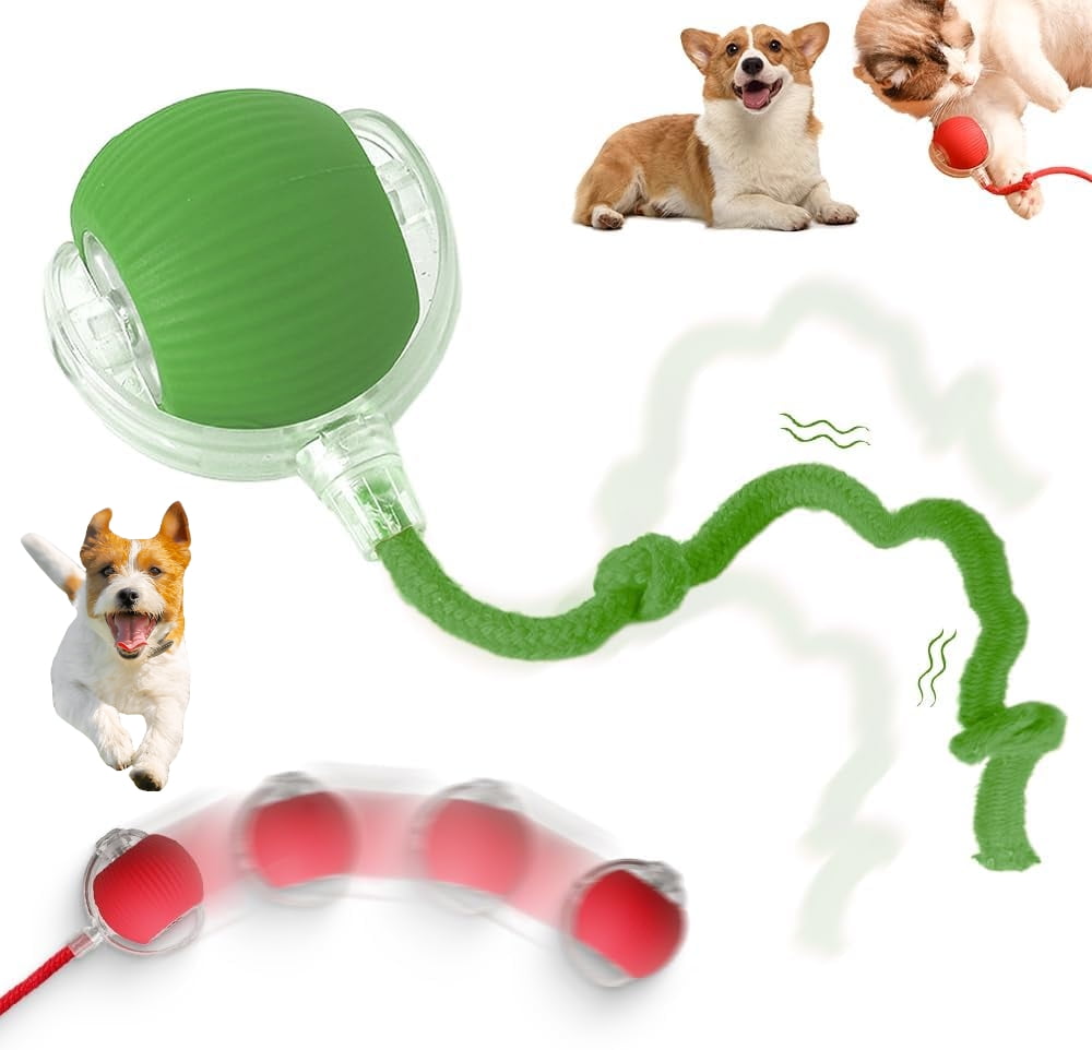 Interactive Rolling Dog Ball, 2025 Upgraded Dog Toy Interactive Cat ...