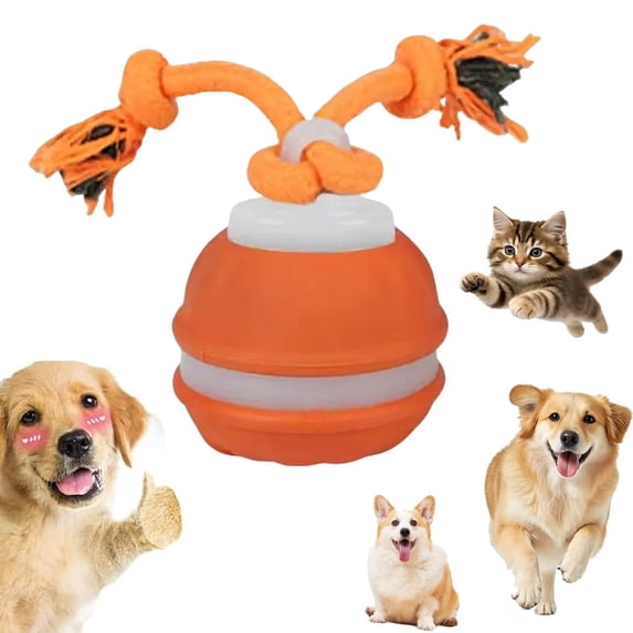 Interactive Smart Rolling Pet Ball,Interactive Dog Toys,Motion ...
