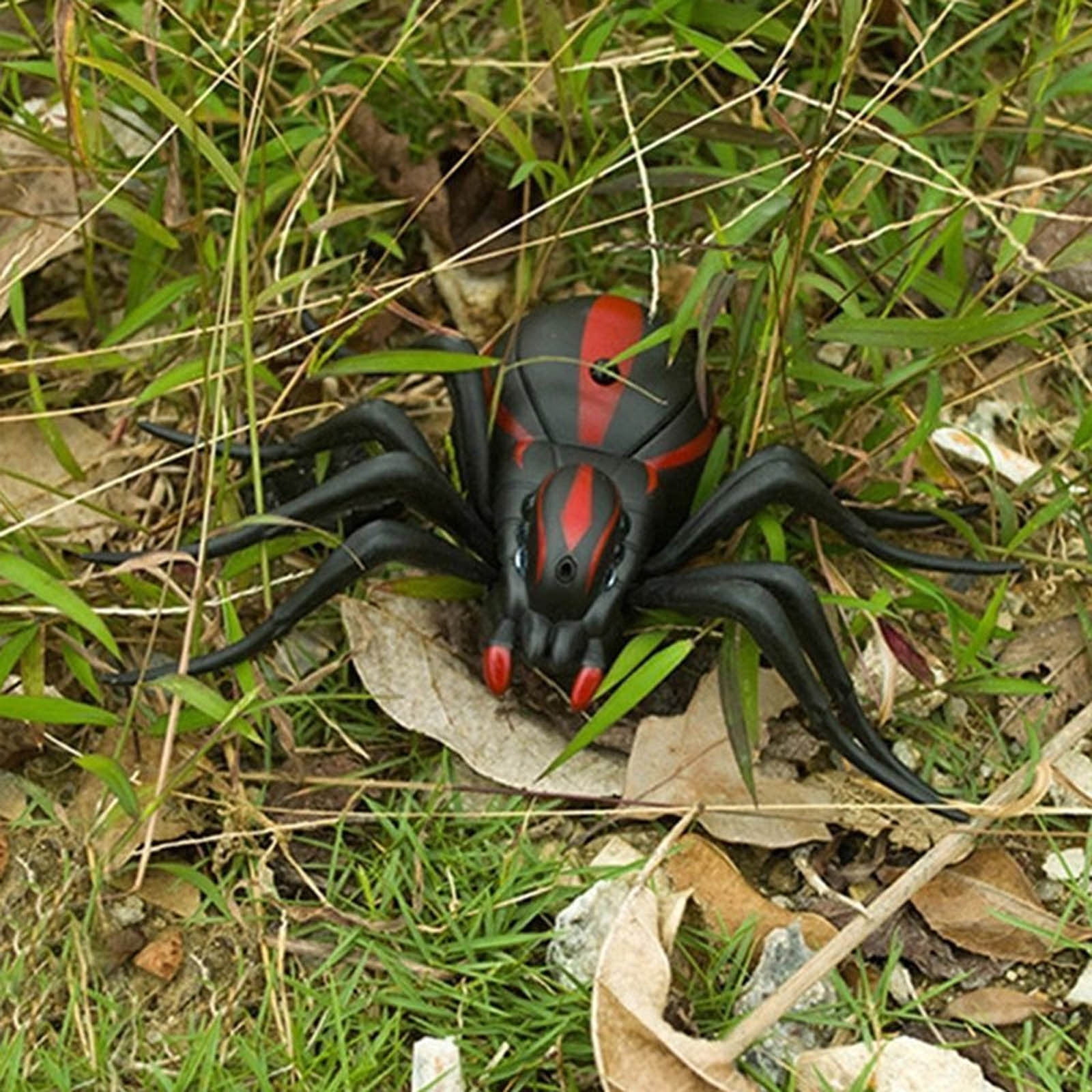 Interactive Toys Remote Control Cockroach Ant Simulation Tidal Insect ...