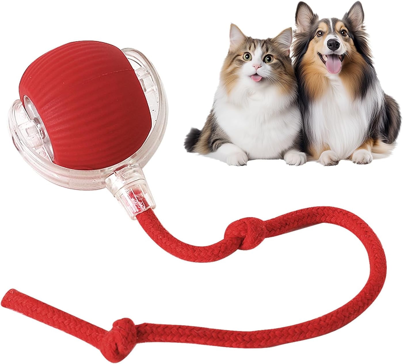 Interactive cat toys for indoor cats, the 3rd generation agile moving ...