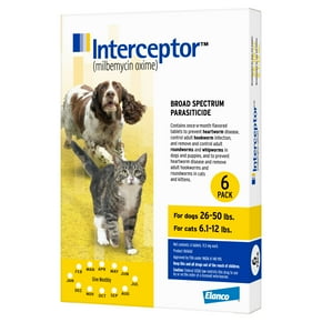 Heartworm Prevention in Worm Prevention Meds - Walmart.com