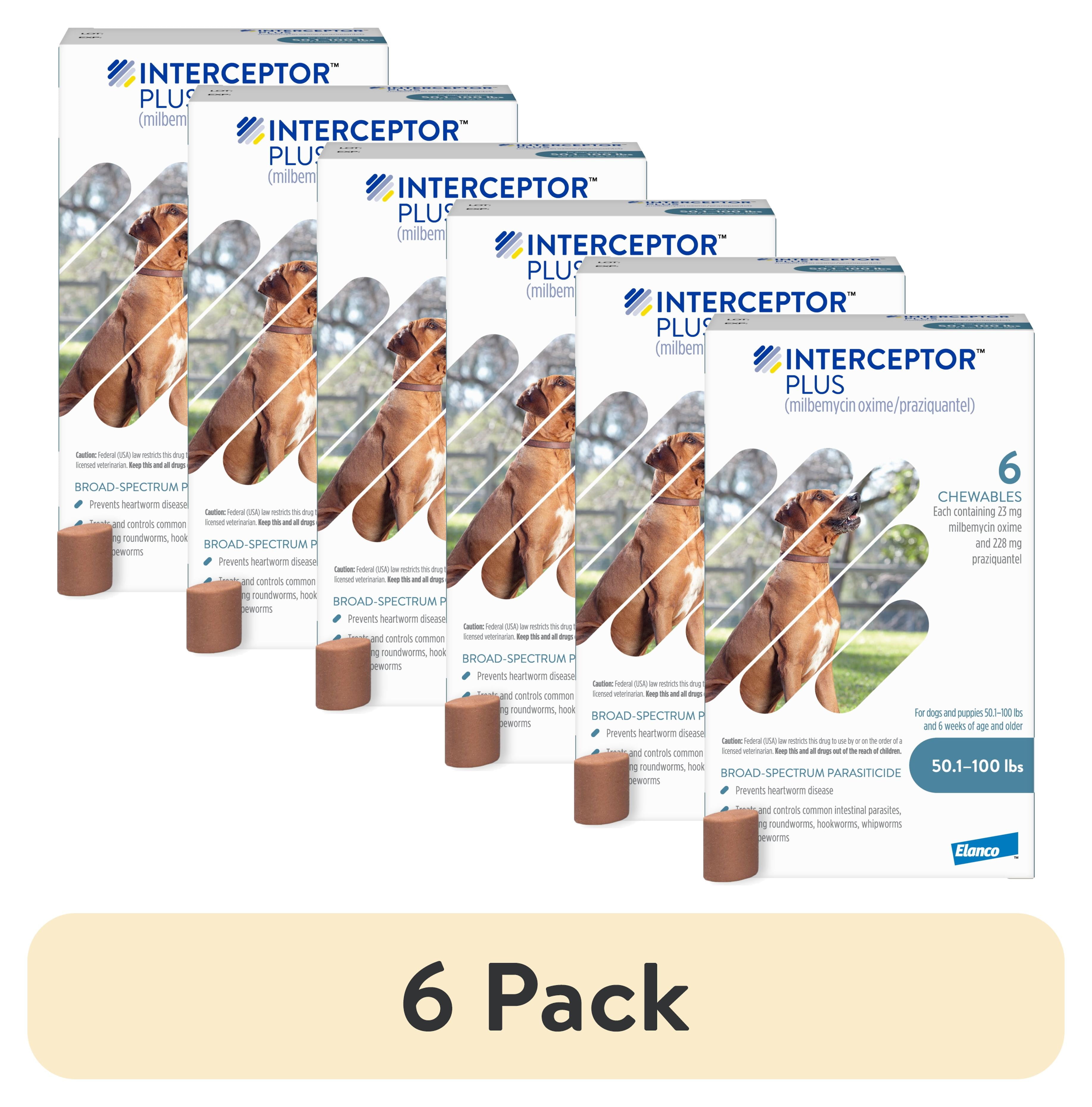 (6 pack) Interceptor Plus Chew for Dogs, 50.1-100lbs, (Blue Box), 6 ...