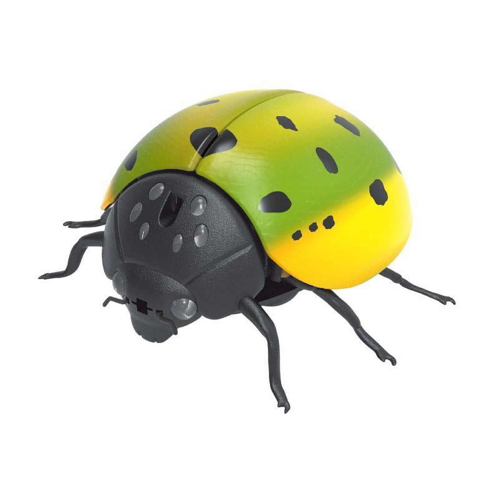 Interest Children's Cockroach Induction Obstacle Avoidance Toy - Walmart.com