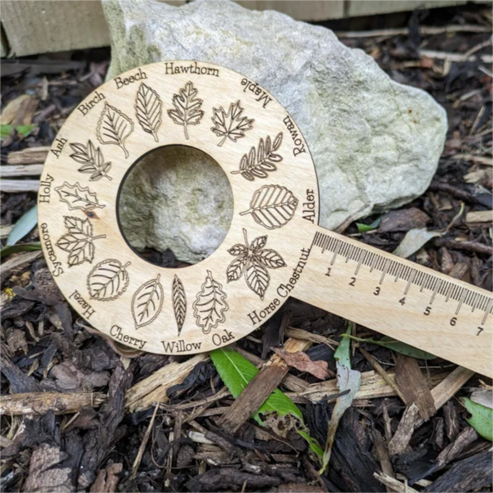 Interesting Plant Encyclopedia Plant Identification Crafts Ruler ...