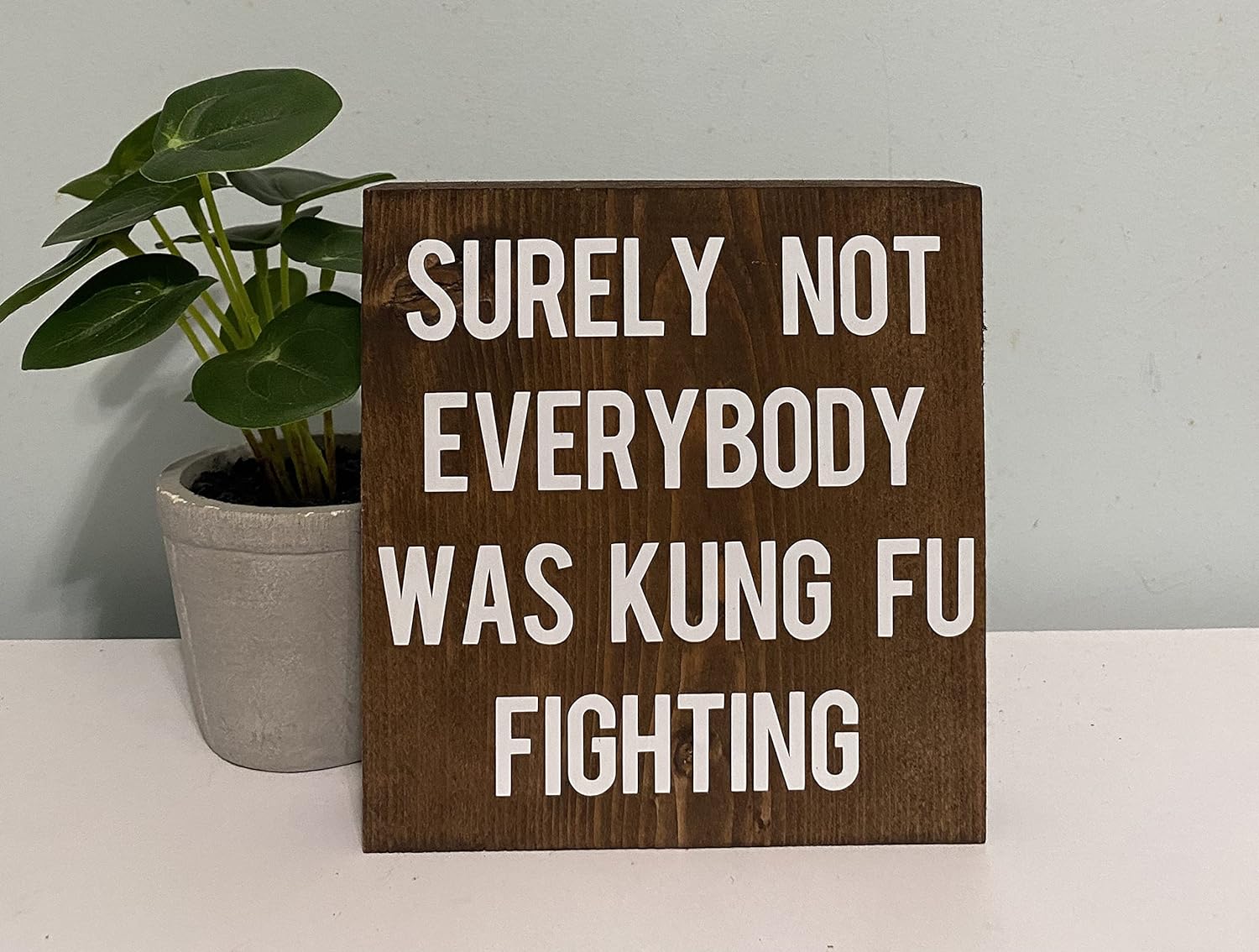 Interesting Wooden Sign Surely not everybody was Kung fu fighting ...