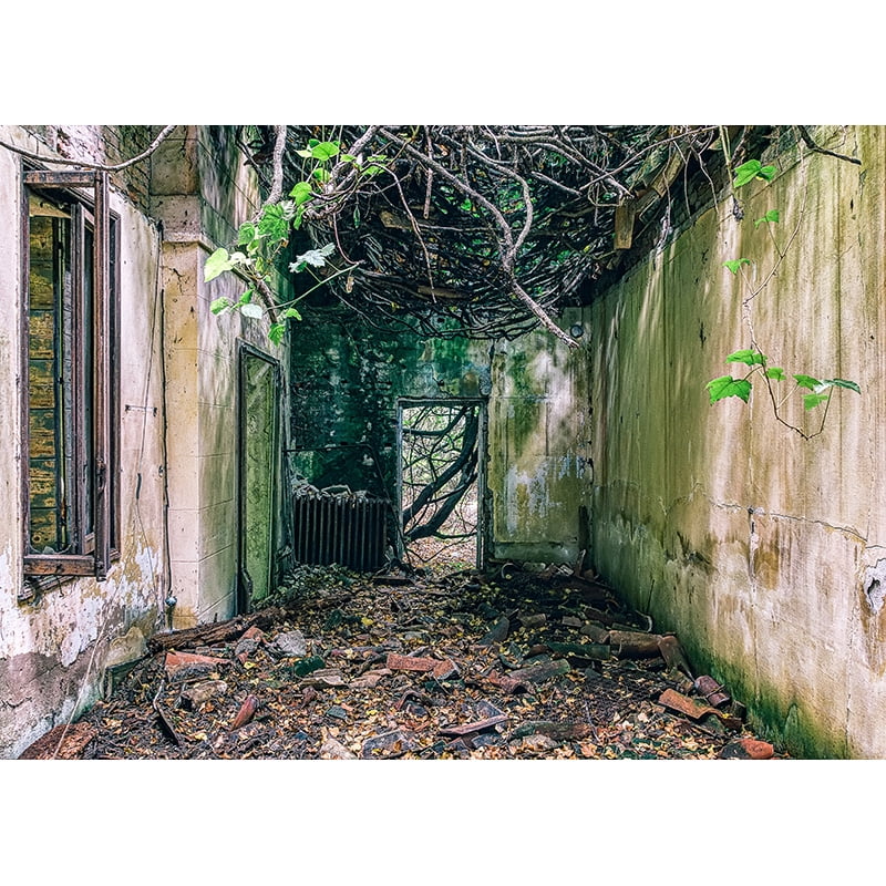 Interior Old House Corridor Retro Style Photography Backdrops Vinyl ...
