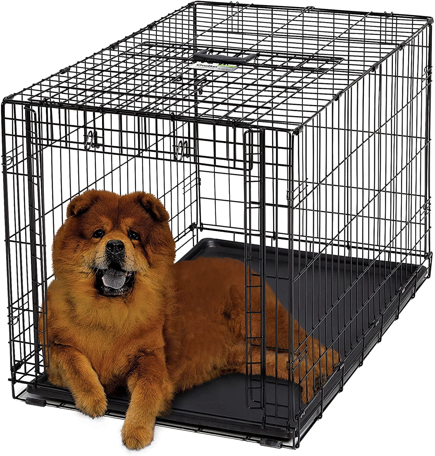 Intermediate Ovation Single Door Folding Dog Crate, 36-Inches, Space ...