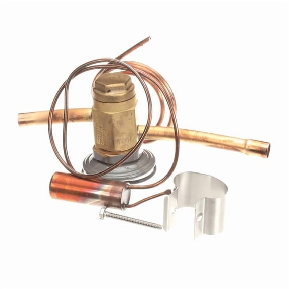 International Comfort Products 1178499 Expansion Valve & TXV Kit ...