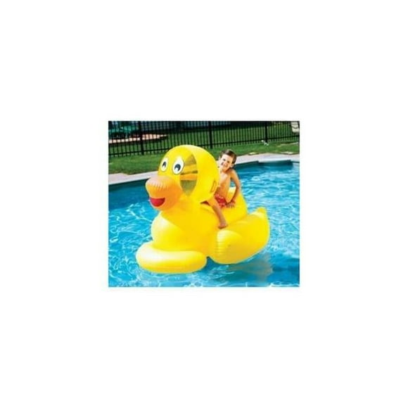 Inflatable Ducks