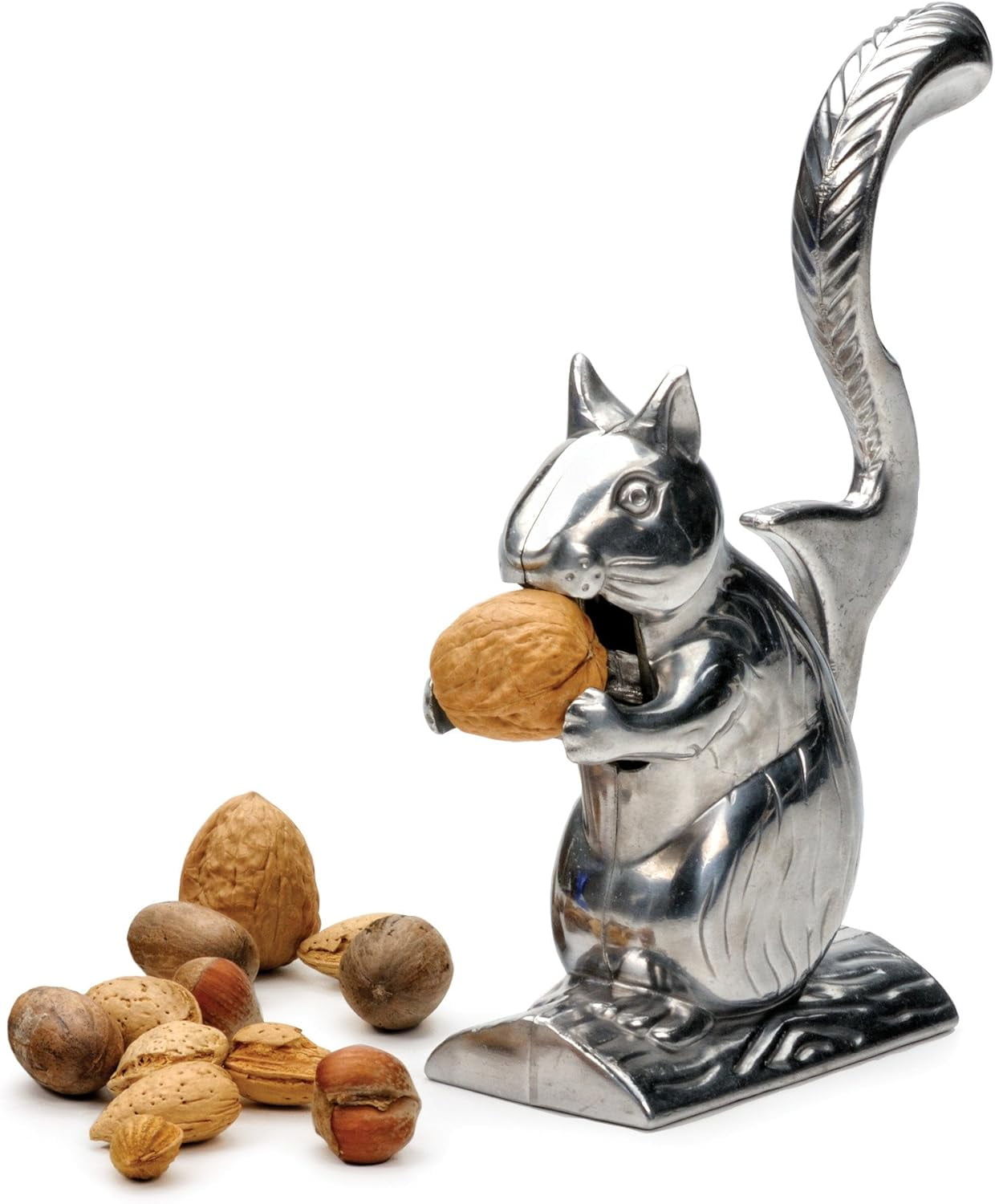 International (Nuts Nutty Squirrel Nutcracker, Stainless Steel | Adorable Novelty Addition to ...