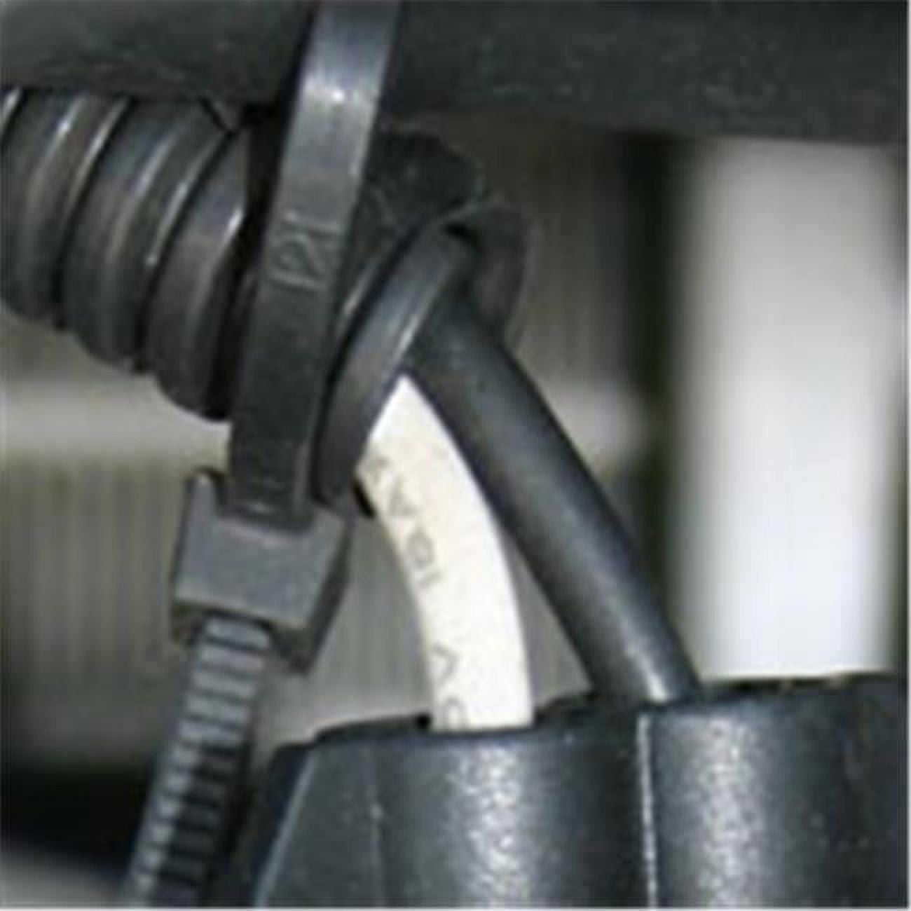 International Plastics TT-NT-24B 24 in. Nylon Cable Ties - Case of 100 ...