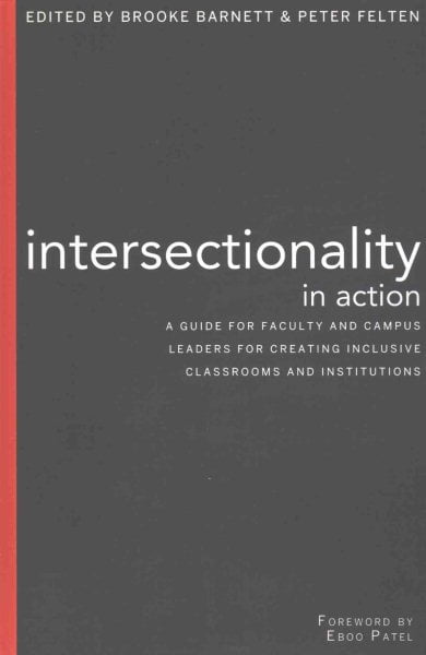 Intersectionality in Action: A Guide for Faculty and Campus Leaders for ...
