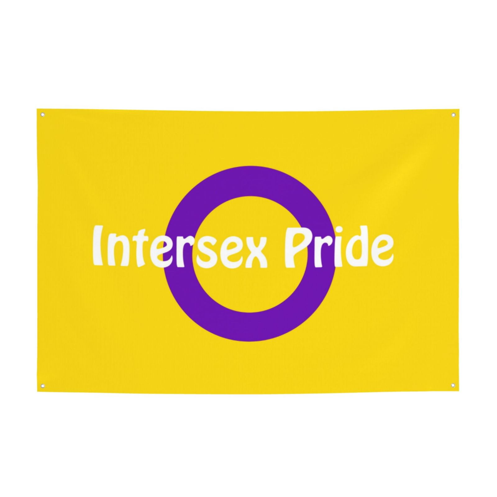 Intersex Pride Flag Festival Banner 47x71 Inches Suitable For ...