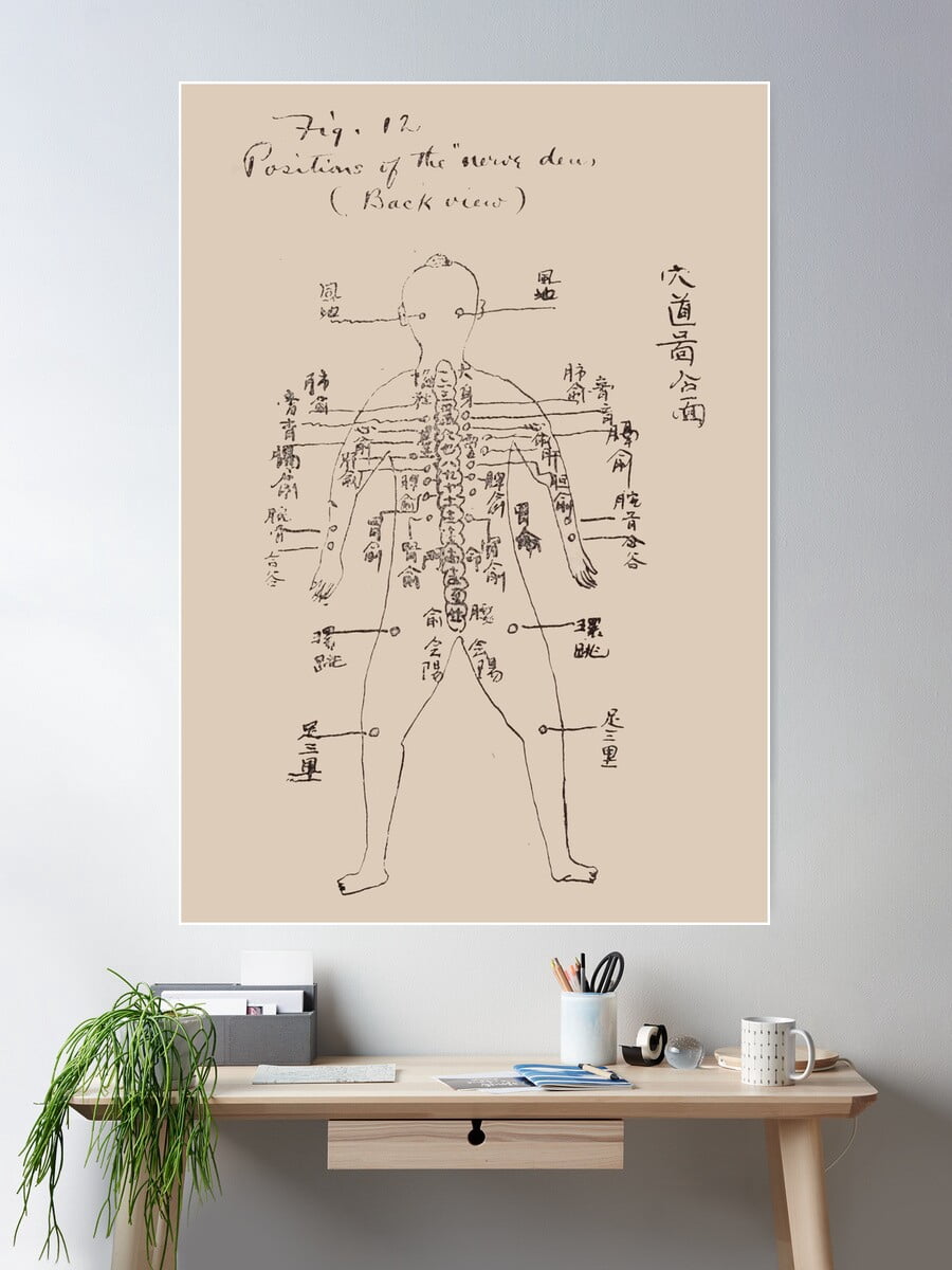 Interstate Medical Journal-Back Acupuncture Point Poster Wall Art ...