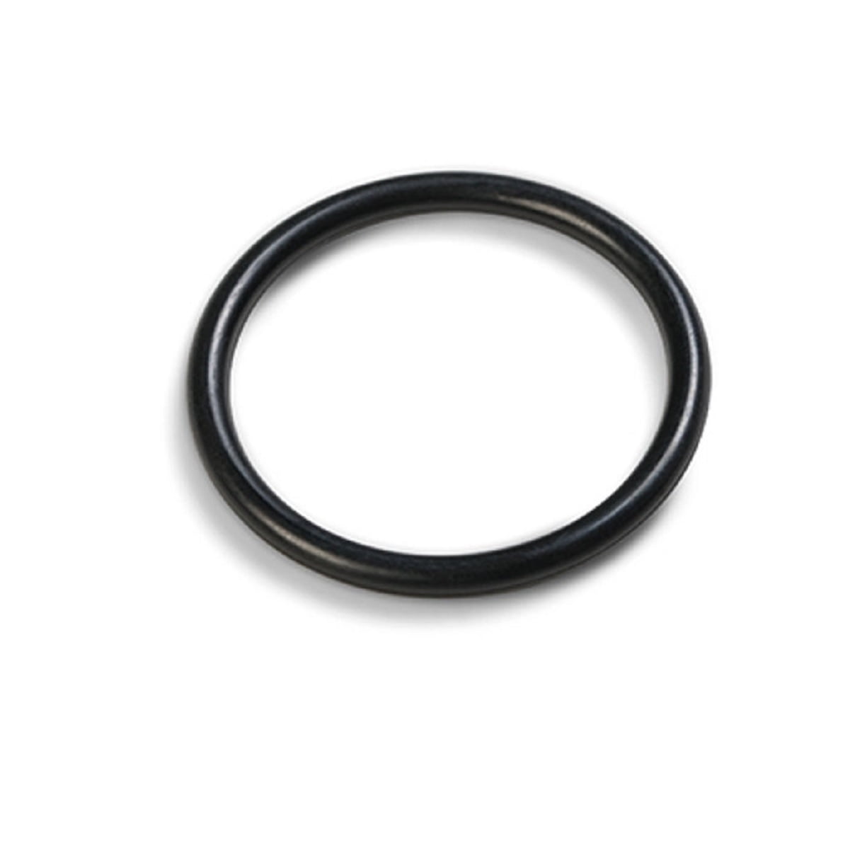 Intex O Ring Replacement