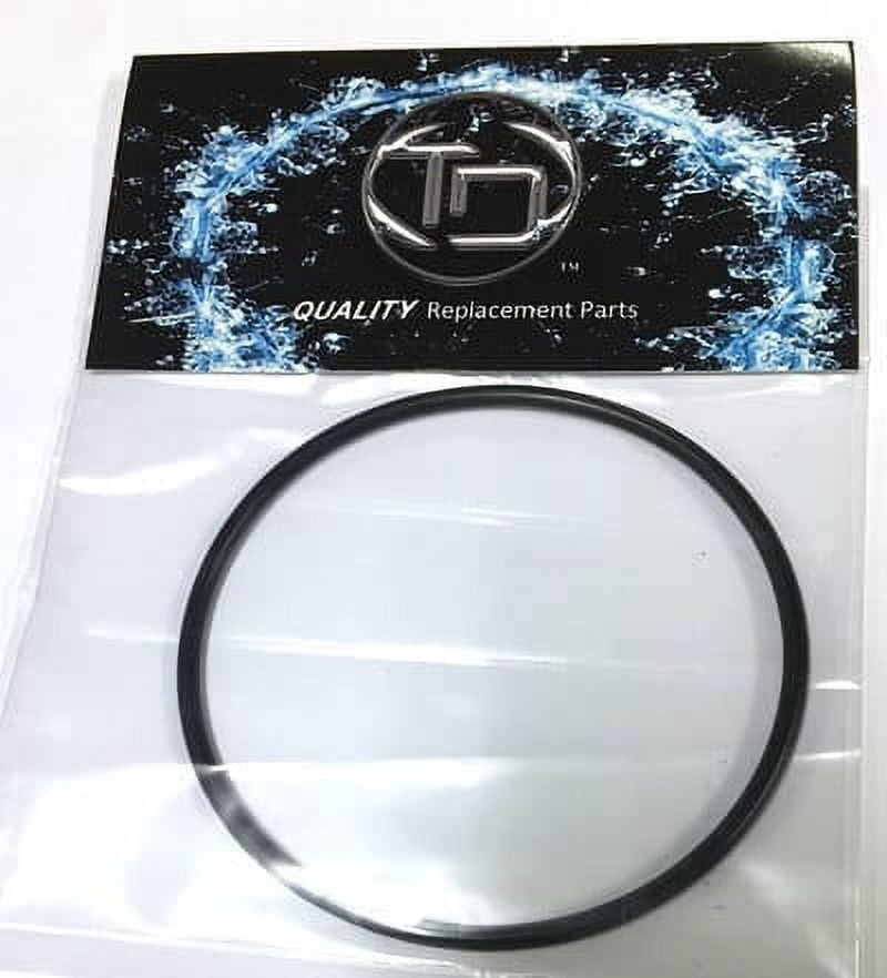 Intex 11379 Tank O-Ring For 12"& 14" Sand Filter Pumps And Combo ...