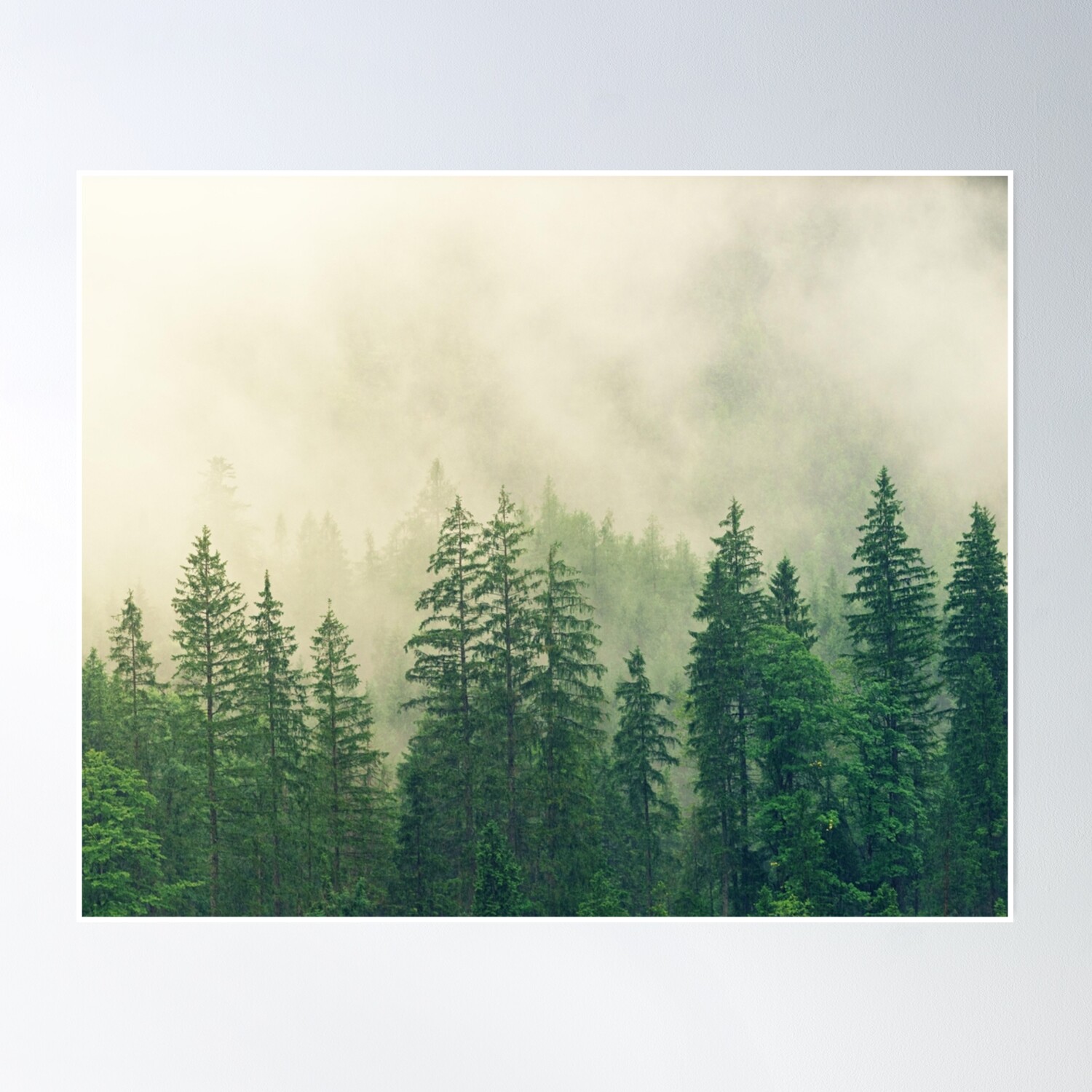 Into The Forest I Go Poster Wall Art, Modern Wall Decor, 8x12 UNFRAMED ...