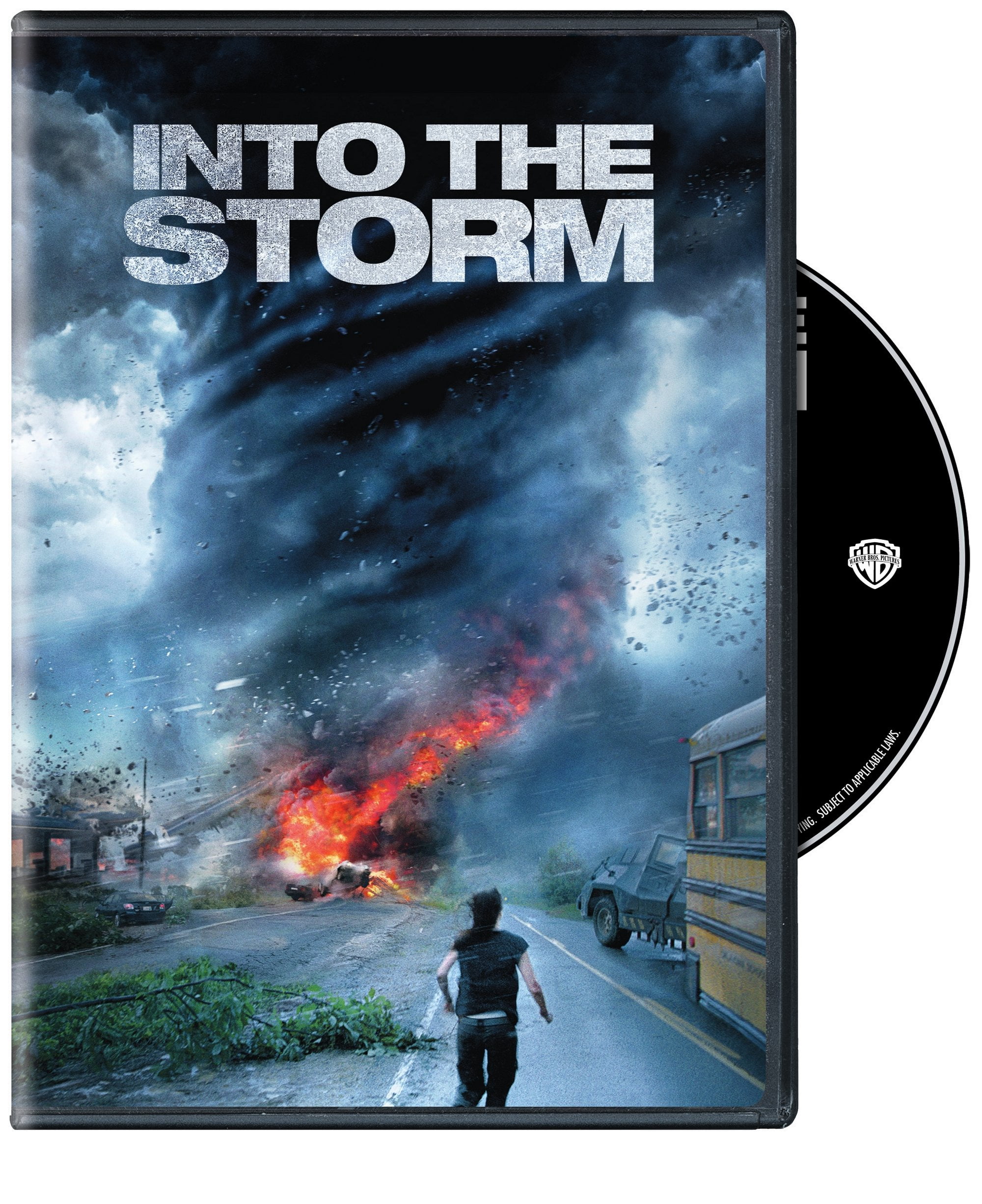 Into The Storm [DVD] - Walmart.com