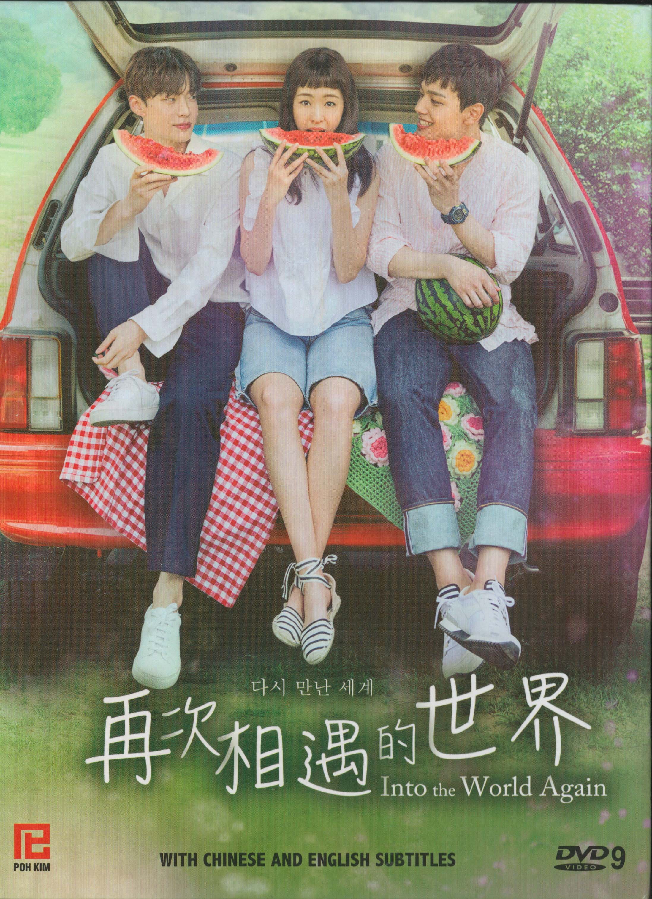 Into The World Again Korean Drama DVD Complete Tv Series - Original K ...