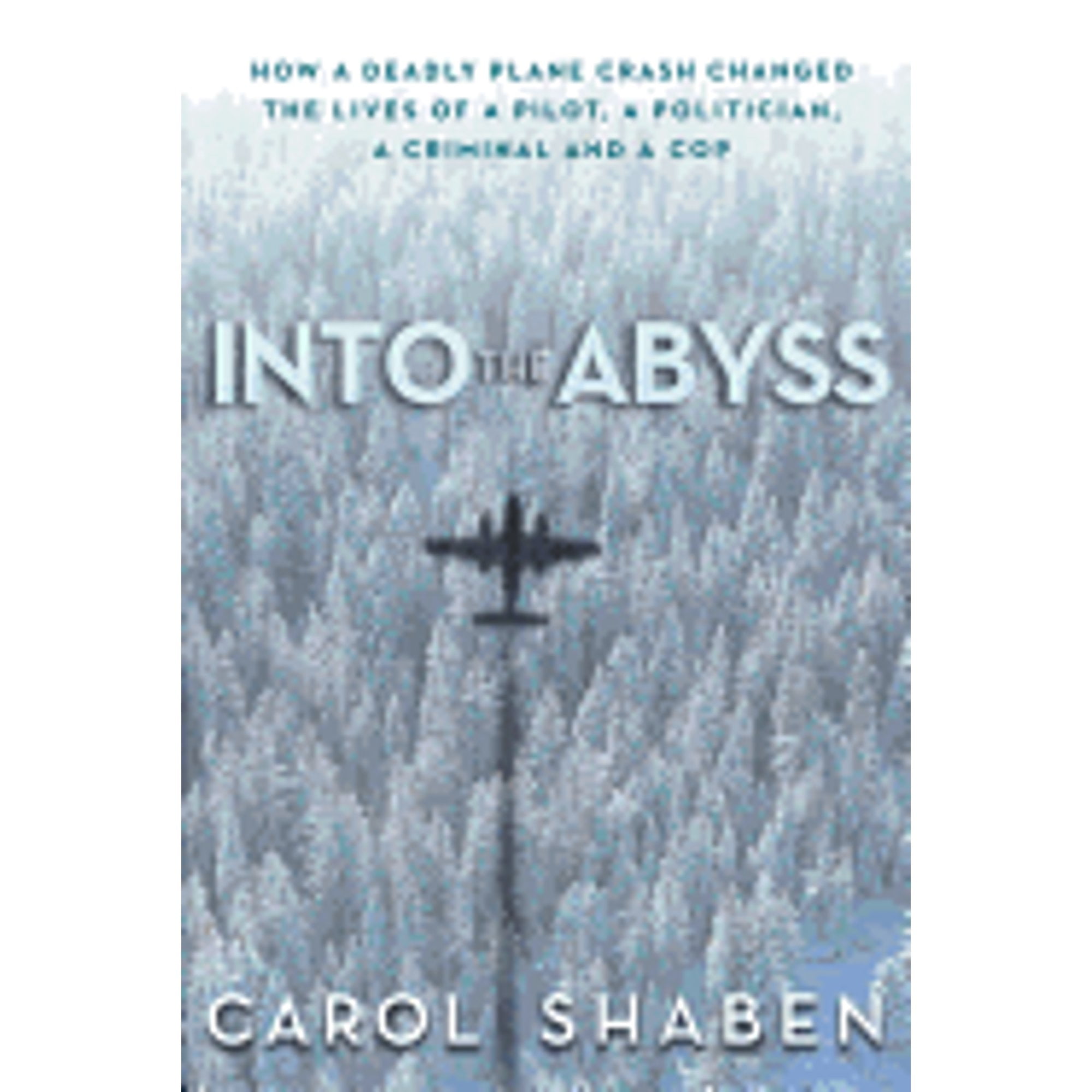 Into the Abyss: How a Deadly Plane Crash Changed the Lives of a Pilot ...