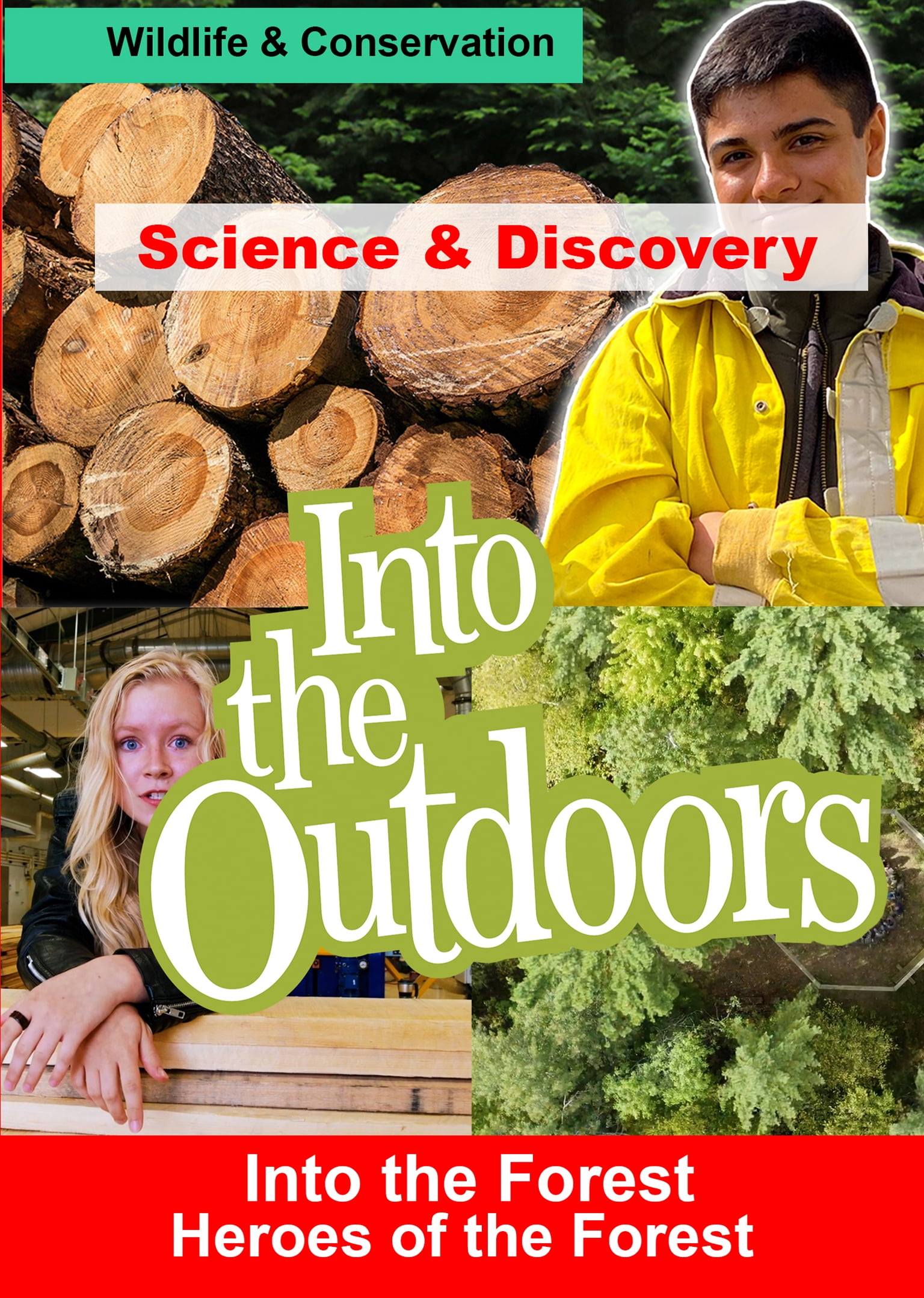 Into the Forest - Heroes of the Forest - Walmart.com