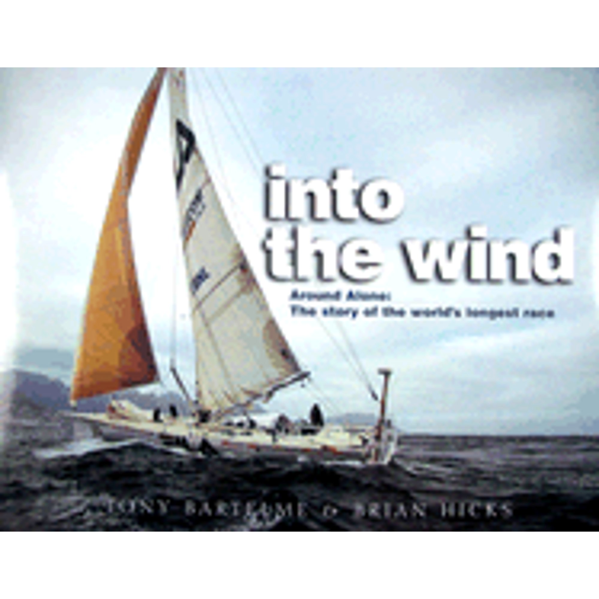 Into the Wind (Hardcover) by Tony Bartelme, Brian Hicks - Walmart.com