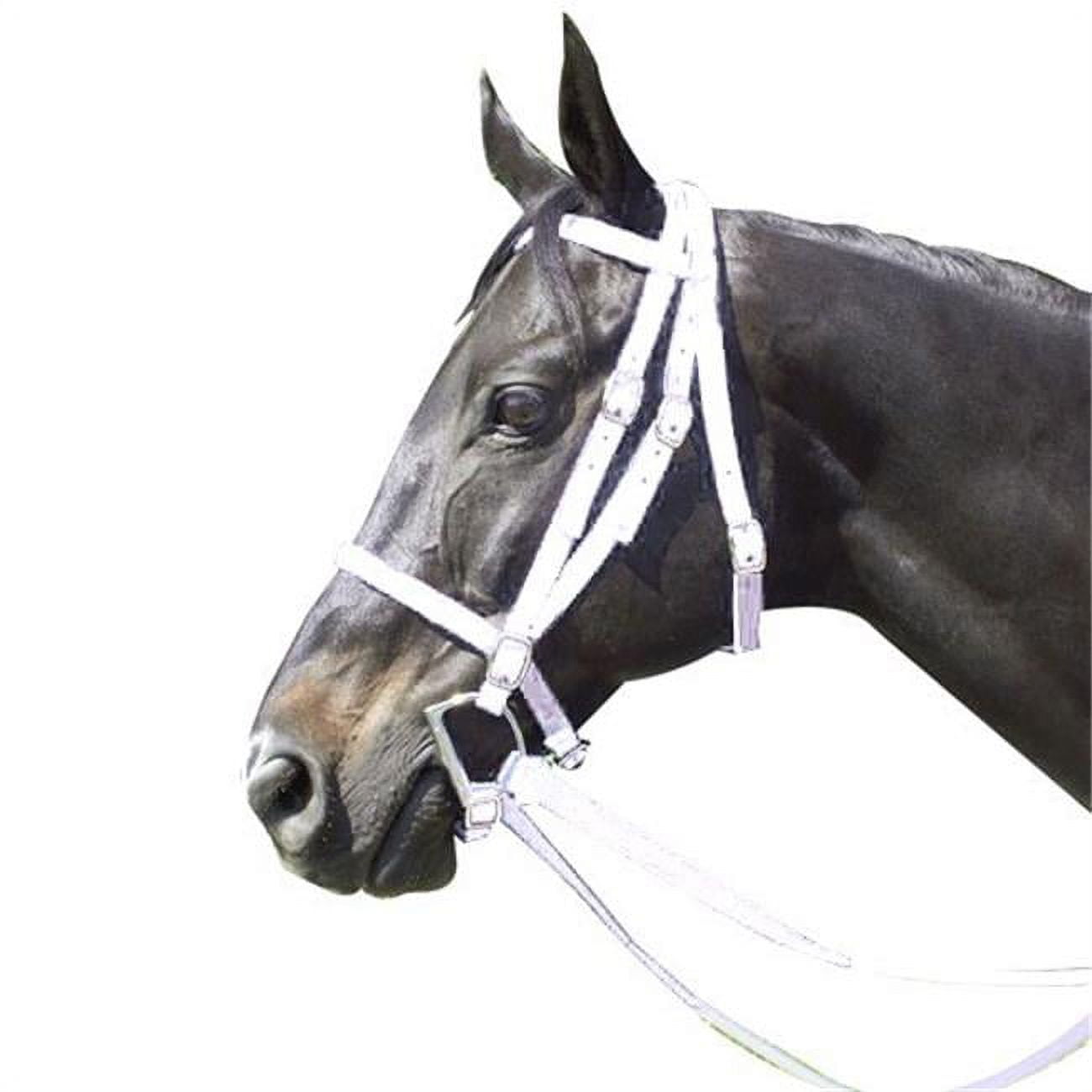 Intrepid International 159175W Race Horse Bridle Nylon with Reins add ...