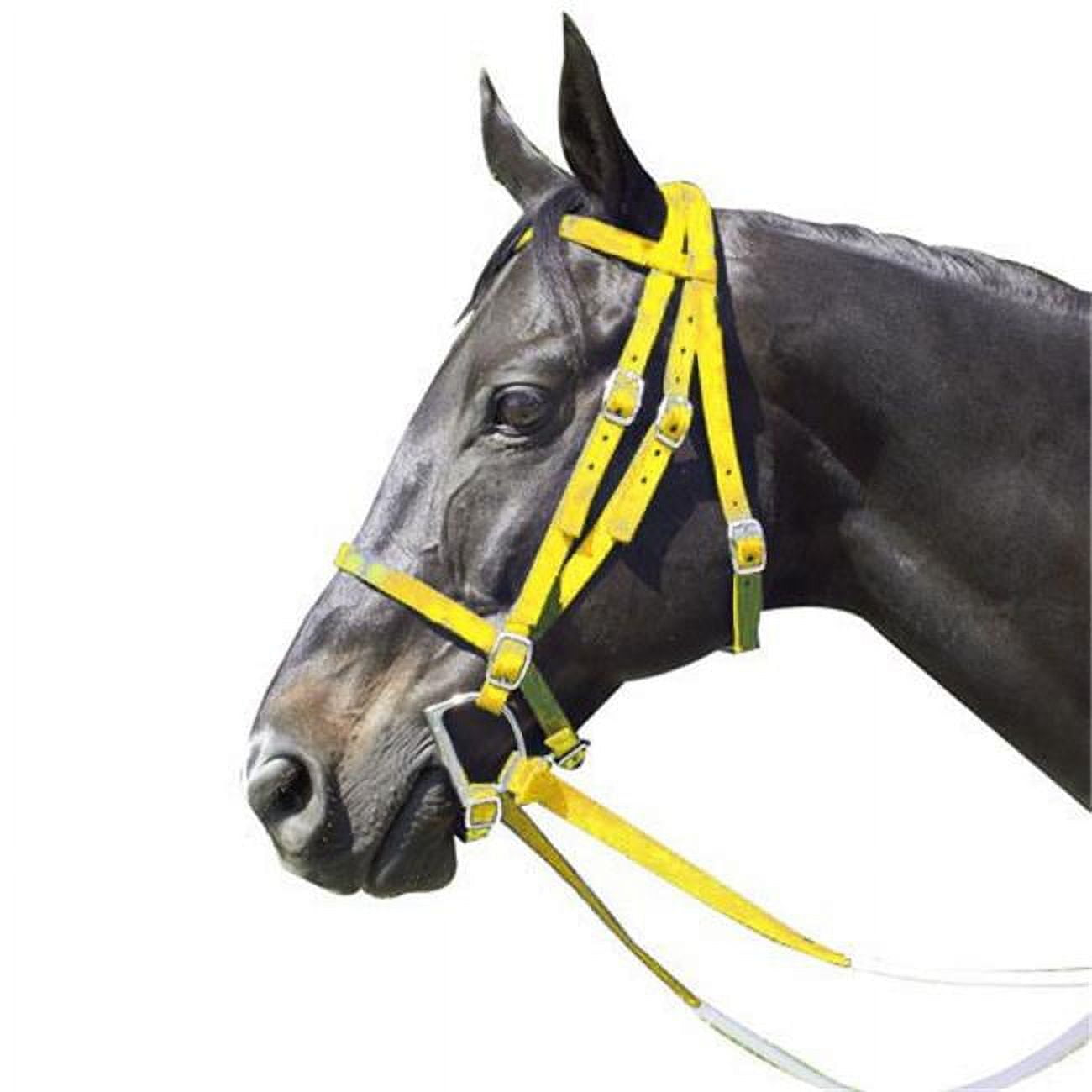 Intrepid International 159175Y Race Horse Bridle Nylon with Reins add ...