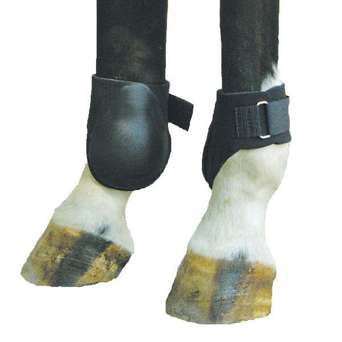 Intrepid International Ankle-Fetlock Neoprene Boot - Walmart.com