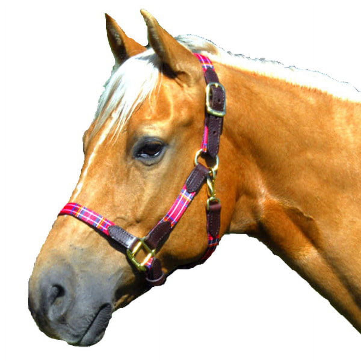 Intrepid International Highland Plaid Nylon Halter With Leather Accents ...